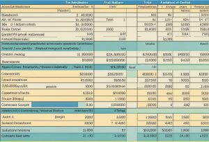 What is a Trial Balance in Bookkeeping? Understanding the Basics of ...